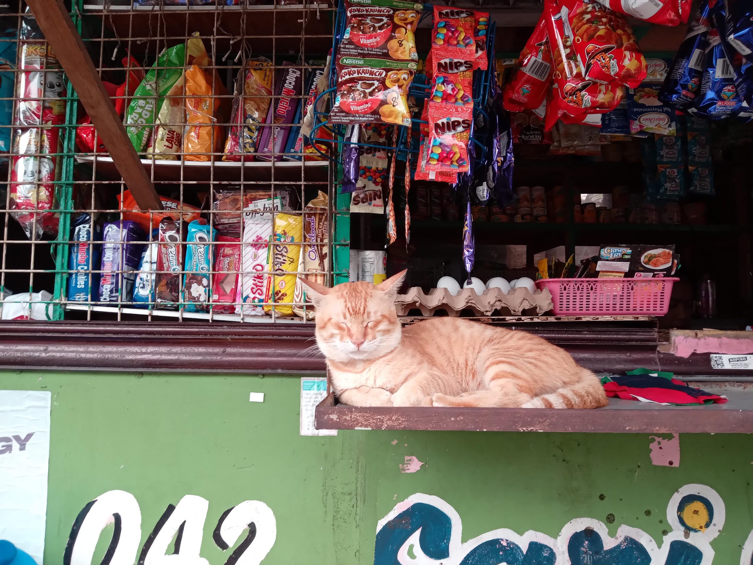 The "Pusang Gala" and Philippine Culture: - pinoypetplan.com